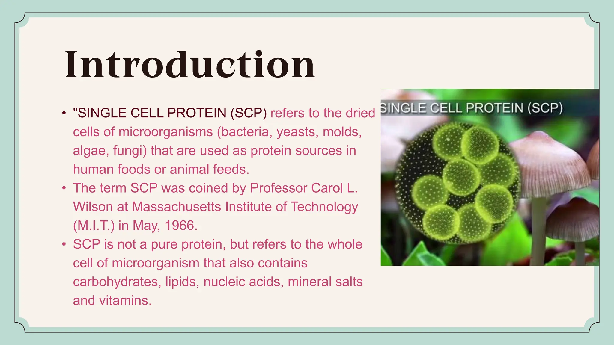 Single cell Protein(SCP), Introduction of SCP, Importance, types and ...