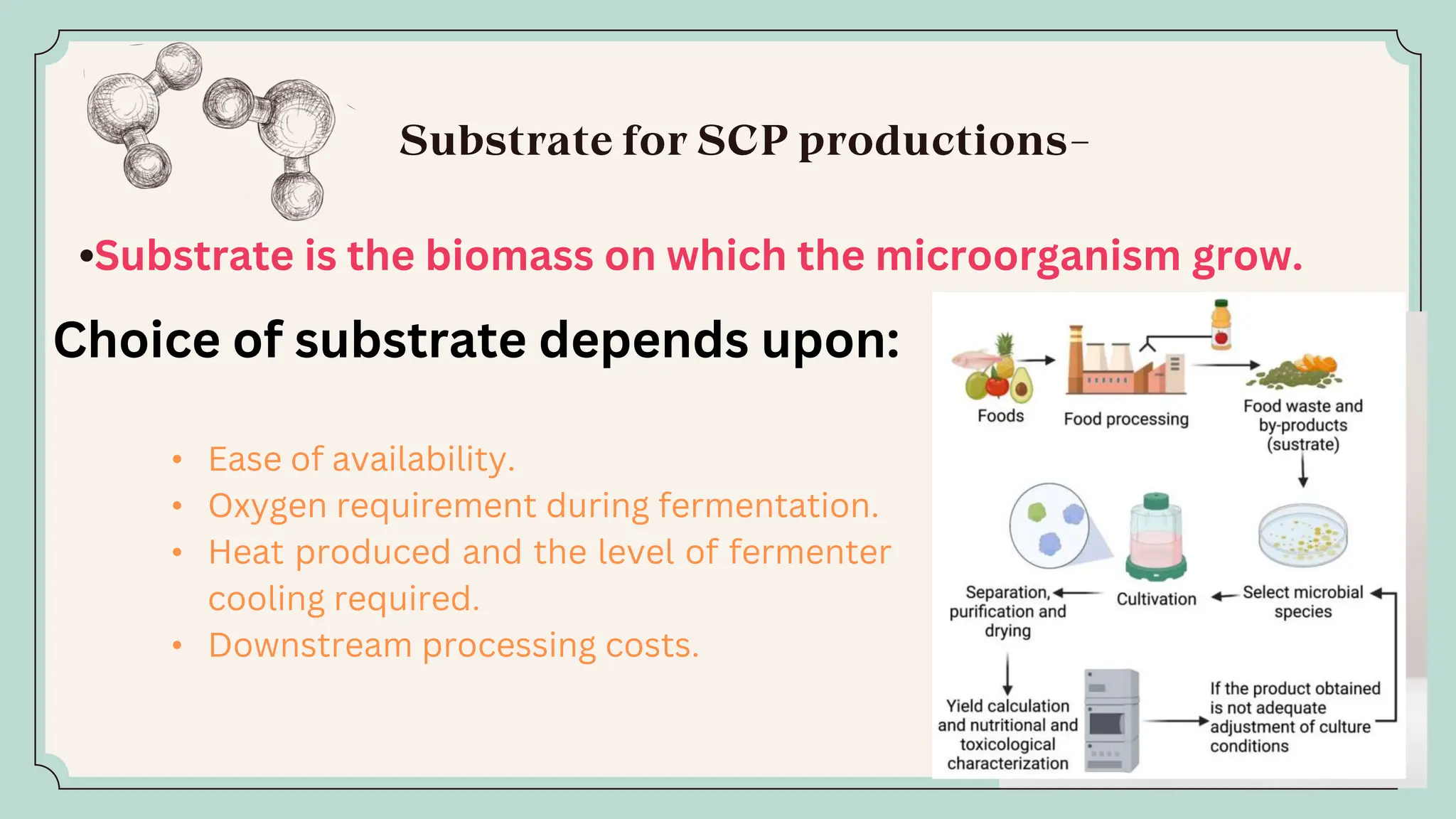 Single cell Protein(SCP), Introduction of SCP, Importance, types and ...