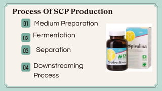 Single cell Protein(SCP), Introduction of SCP, Importance, types and ...