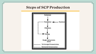Single cell Protein(SCP), Introduction of SCP, Importance, types and ...