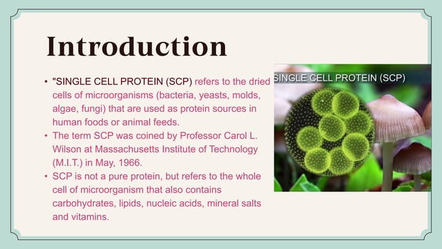 Single cell Protein(SCP), Introduction of SCP, Importance, types and ...