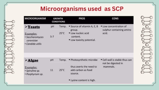 Single cell Protein(SCP), Introduction of SCP, Importance, types and ...