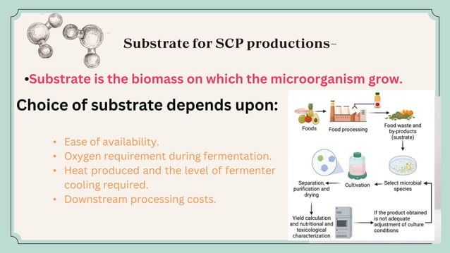 Single cell Protein(SCP), Introduction of SCP, Importance, types and ...