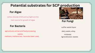 Single cell Protein(SCP), Introduction of SCP, Importance, types and ...