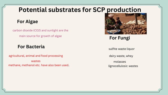 Single cell Protein(SCP), Introduction of SCP, Importance, types and ...