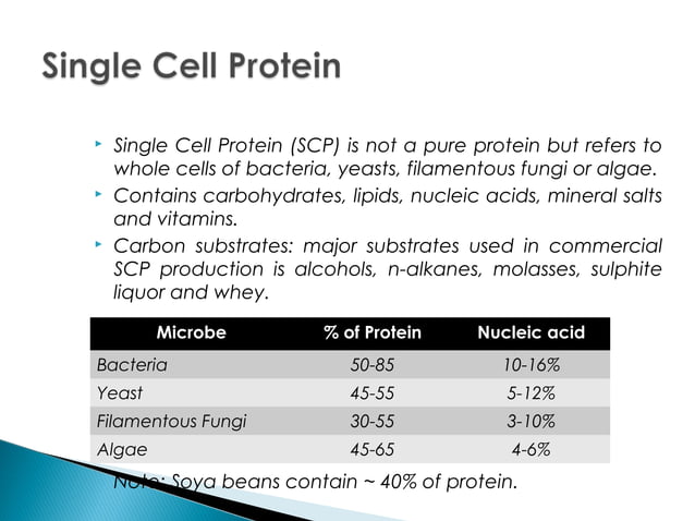 Single cell protien | PPT | Chemistry | Science