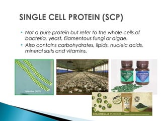 Single cell protien | PPT