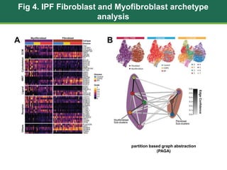 Single-Cell RNAseq in IPF | PPTX