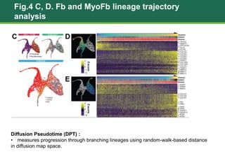 Single-Cell RNAseq in IPF | PPTX