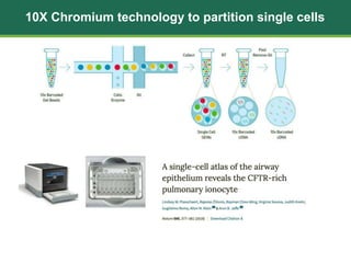 Single-Cell RNAseq in IPF | PPTX