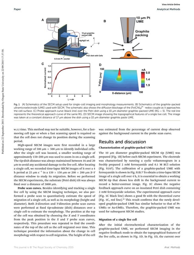 Single cell SECM - learn the new way for SECM.pdf
