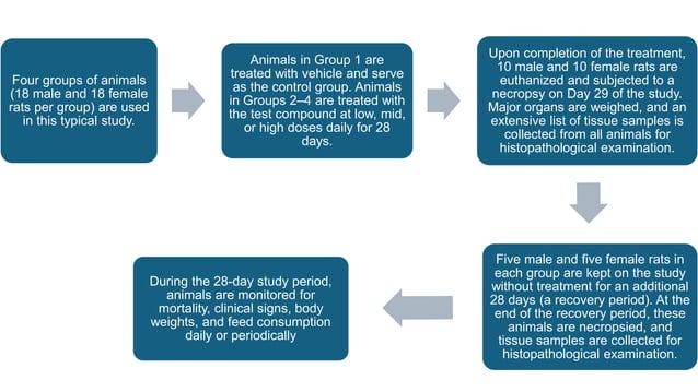 Single dose and repeated dose toxicity studies.pptx | Endocrine and Metabolic Diseases ...
