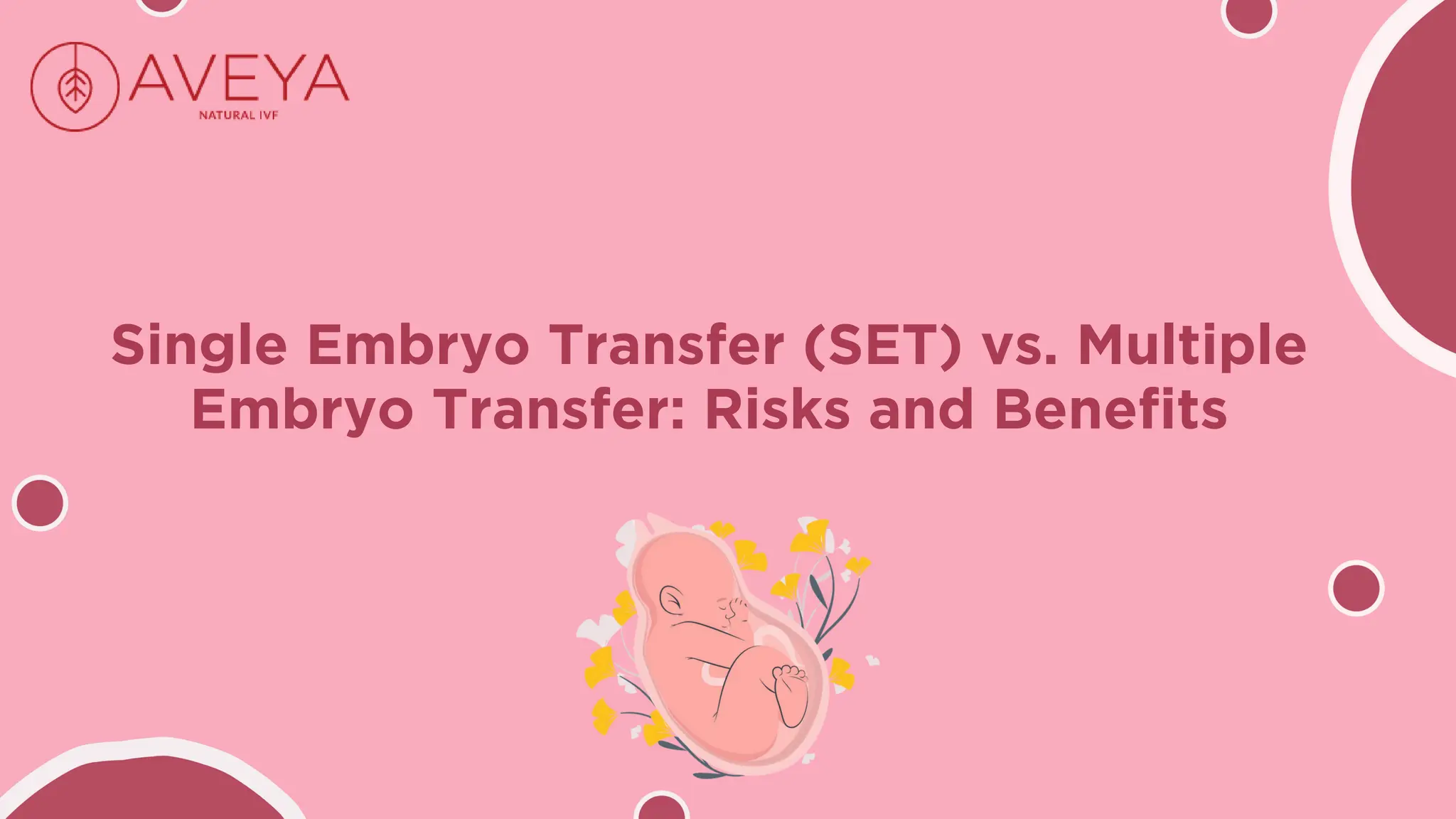 Single Embryo Transfer (SET) vs. Multiple Embryo Transfer Risks and ...