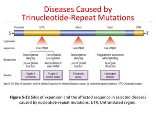 Single genedisorders 1 | PPT