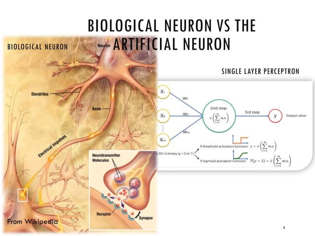Single layer perceptron in python | PDF