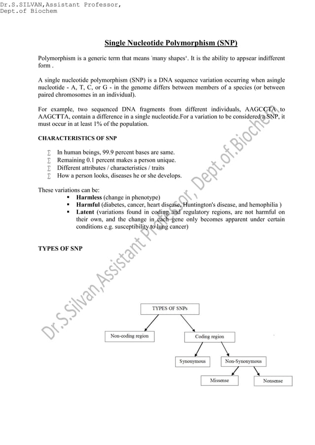 Single nucleotide polymorphism | PDF