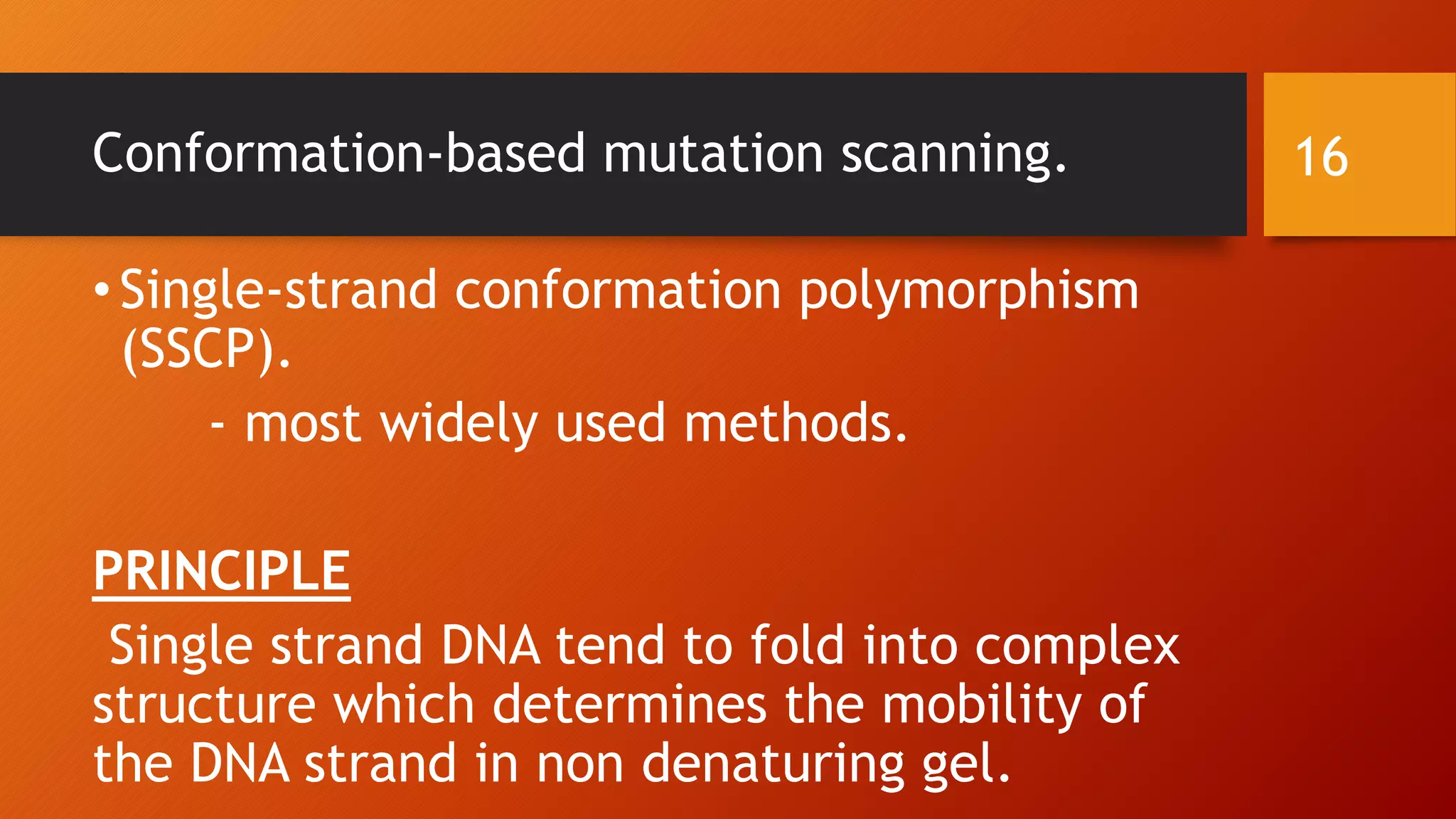 Single Nucleotide Polymorphism By Kk Sahu Ppt