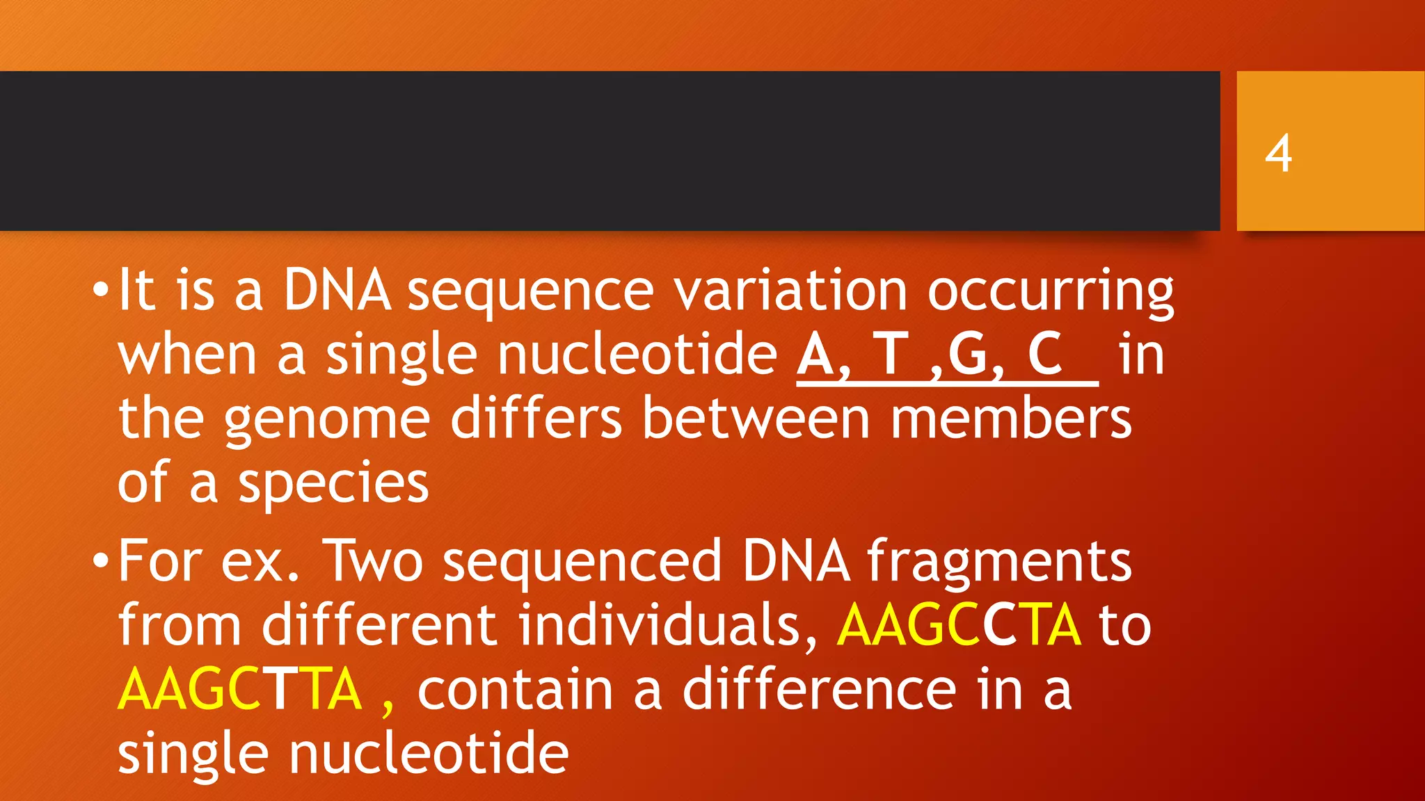 Single nucleotide polymorphism by kk sahu | PPTX