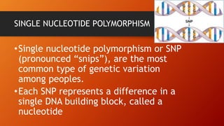 Single nucleotide polymorphism by kk sahu | PPTX | Genetics | Science