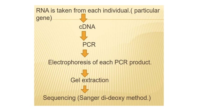 Single Nucleotide Polymorphism And Its Causes Gna Pptx