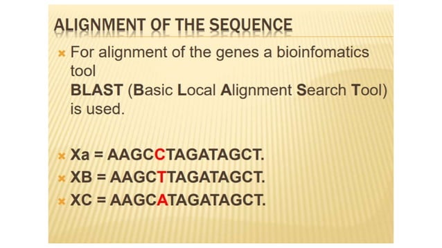 Single Nucleotide Polymorphism And Its Causes Gna Pptx