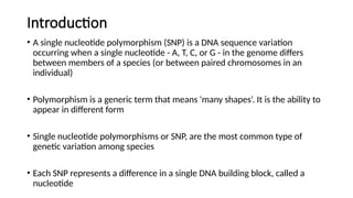 Single Nucleotide Polymorphism_and its causes GNA.pptx