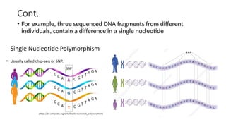 Single Nucleotide Polymorphism_and its causes GNA.pptx