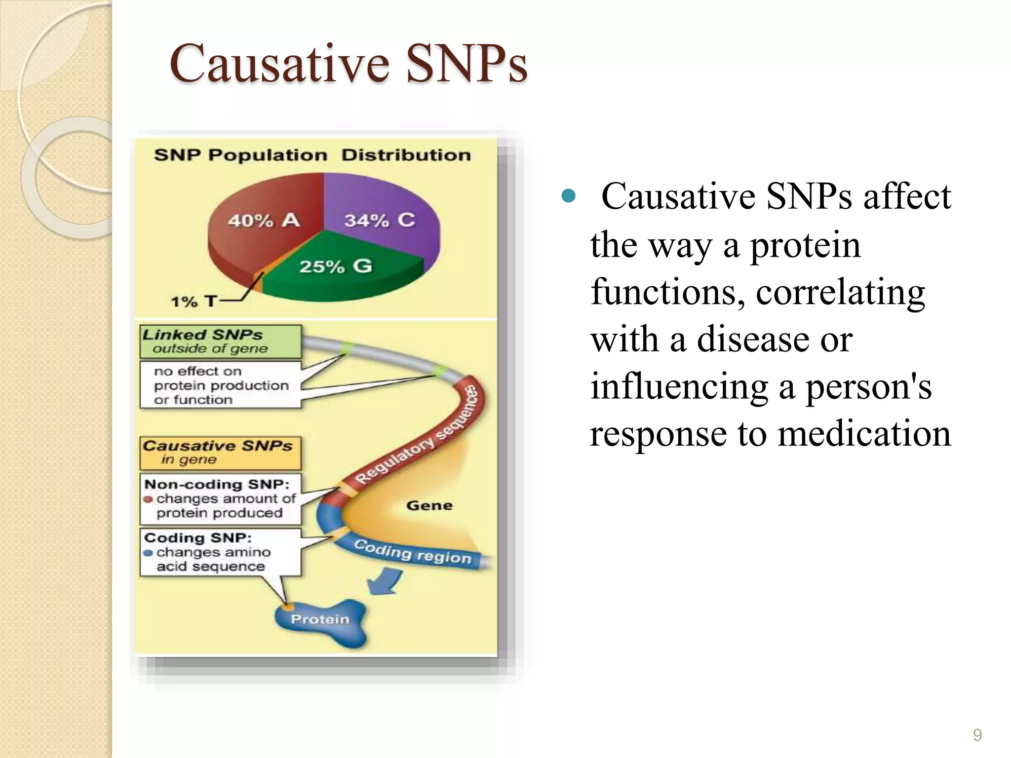 Single Nucleotide Polymorphism Ppt
