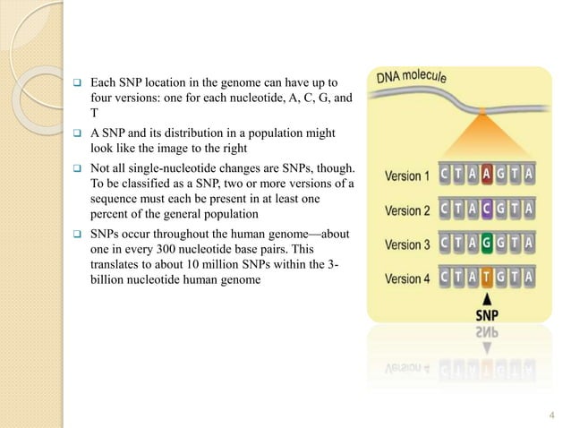 Single nucleotide polymorphism | PPTX