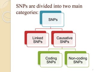 Single nucleotide polymorphism | PPTX