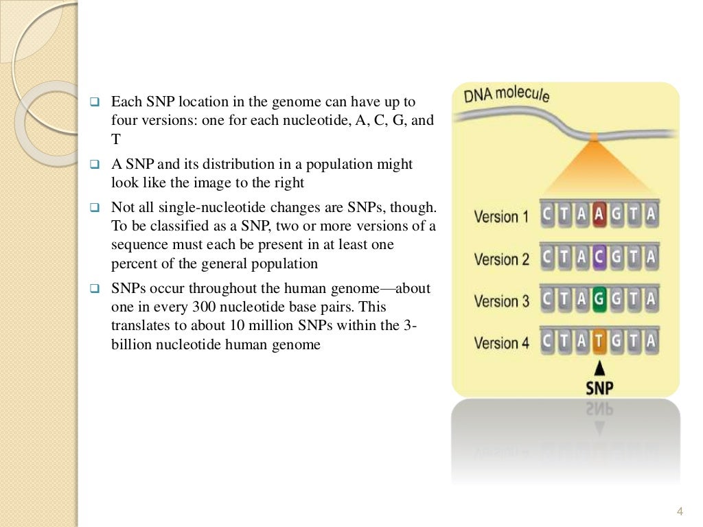 Single nucleotide polymorphism
