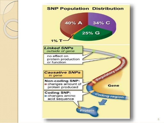 Single nucleotide polymorphism