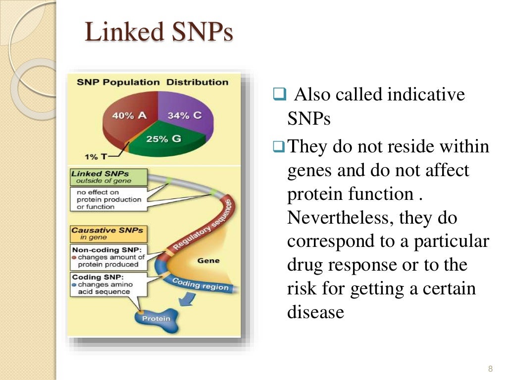 Single nucleotide polymorphism