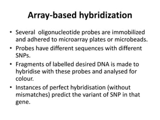 Single Nucleotide Polymorphisms (2)-1.pptx