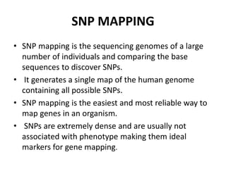 Single Nucleotide Polymorphisms (2)-1.pptx