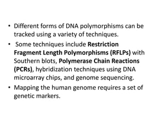 Single Nucleotide Polymorphisms (2)-1.pptx
