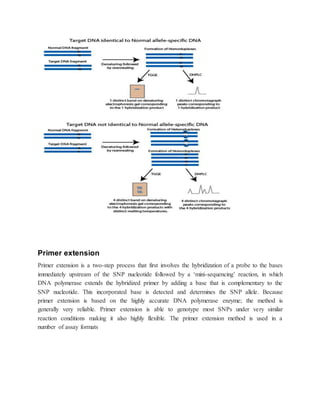 Single nucleotide polymorphism (sn ps) | PDF