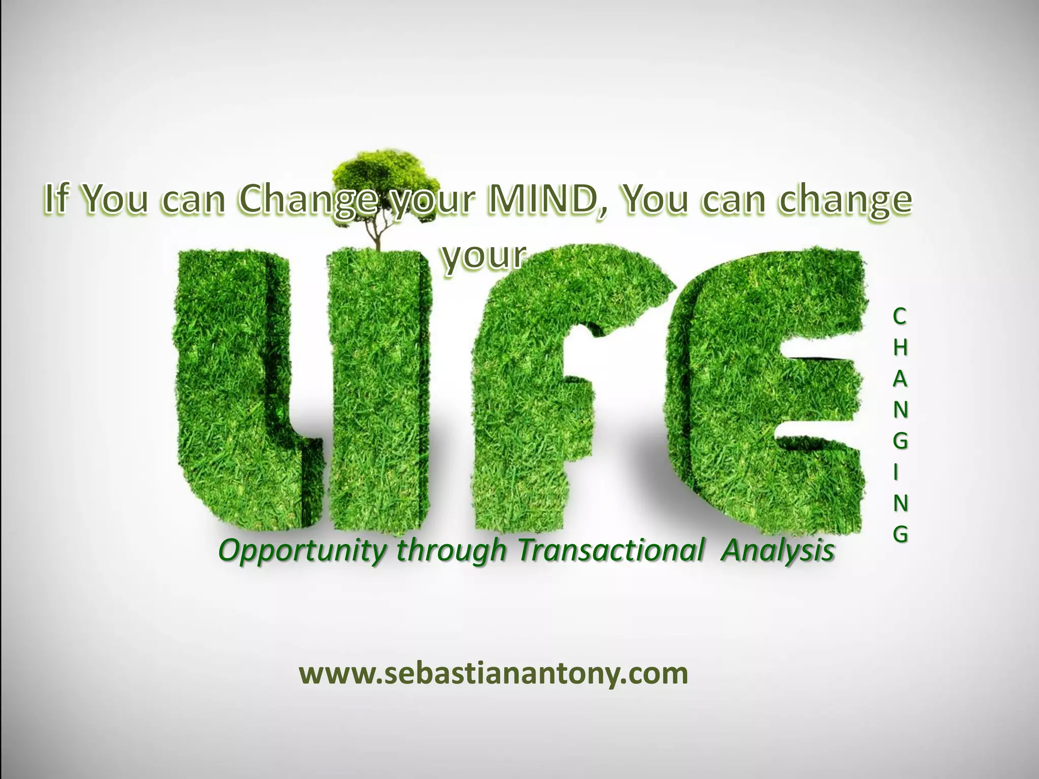 shape your destiny | PPT