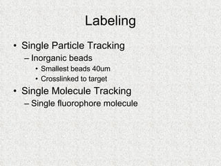 Single Particle Tracking | PPT