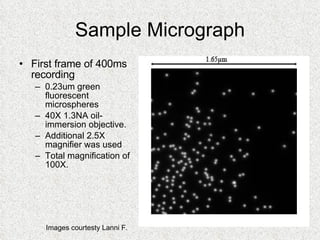 Single Particle Tracking | PPT