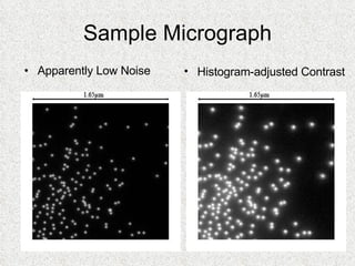 Single Particle Tracking | PPT