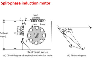 Single Phase Induction Motors.ppt | Physics | Science
