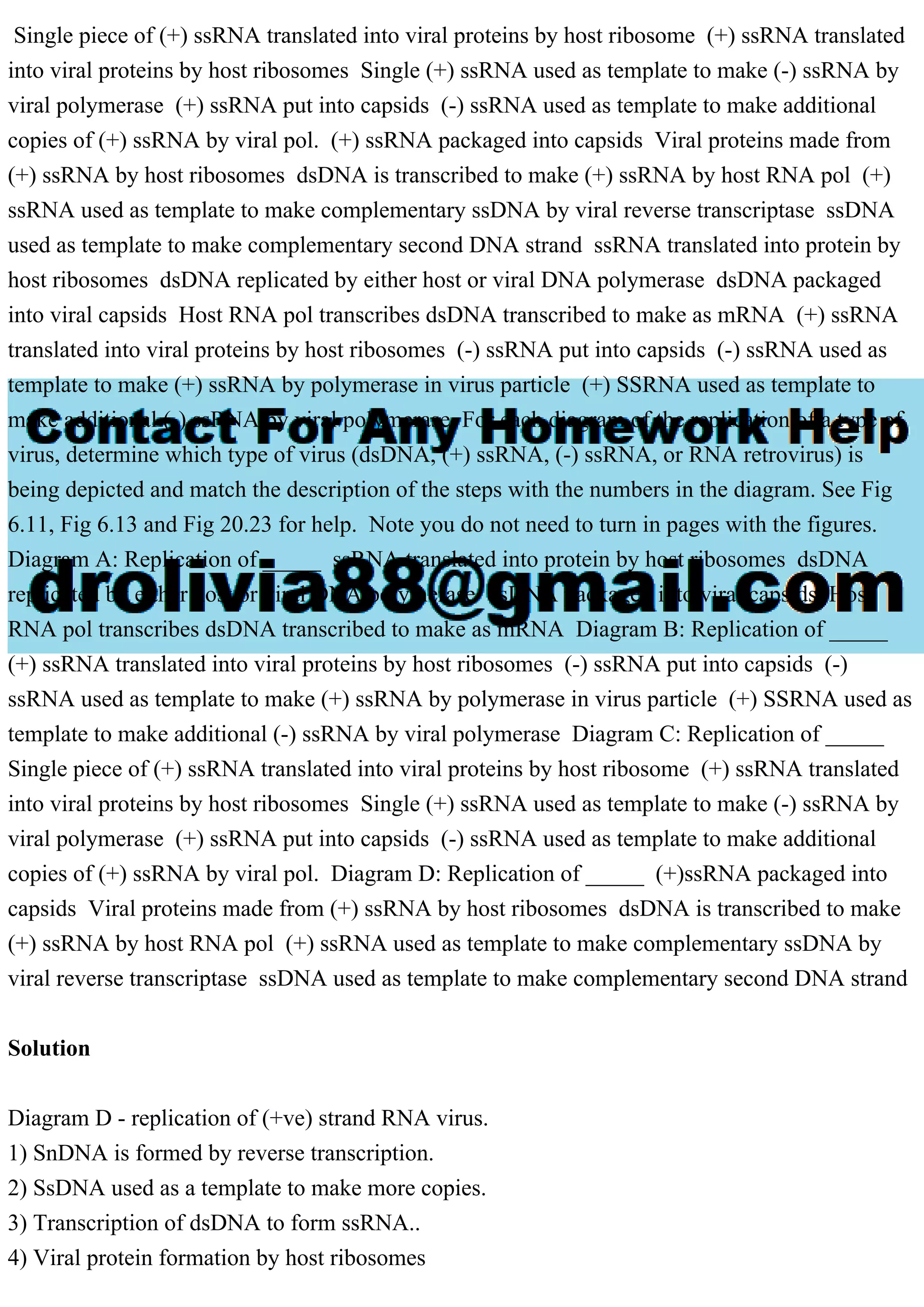 Single piece of (+) ssRNA translated into viral proteins by host ribo.pdf