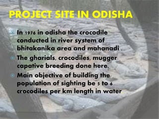 project tiger,project lion,crocodile breeding | PPTX