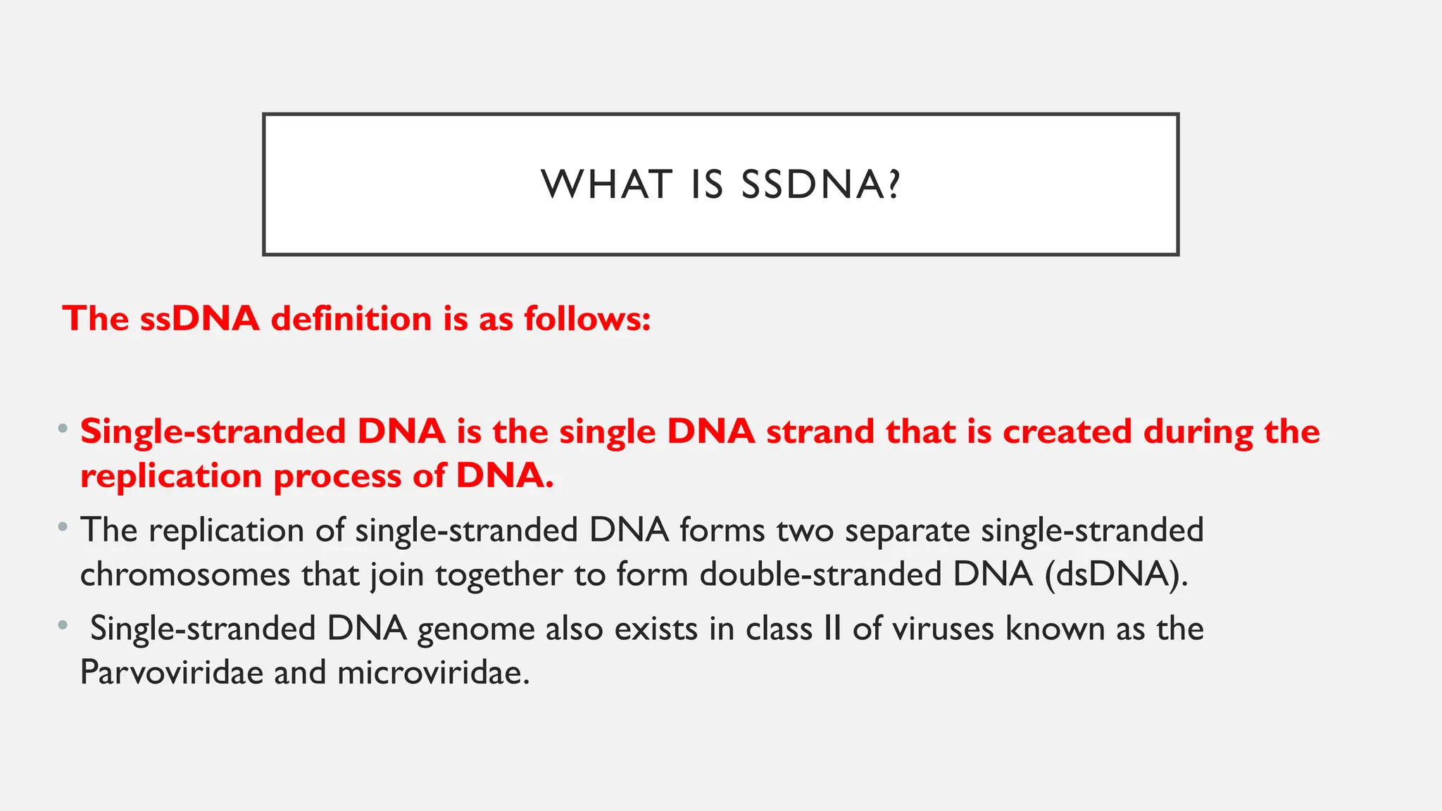 single strand chromosome model by R parihar.pptx