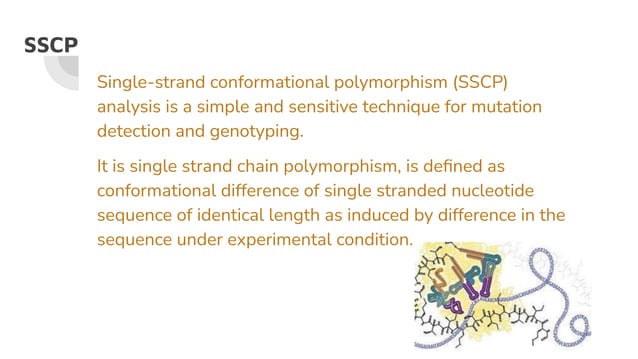 Single Strand Conformation Polymorphism Analysis (1).pdf
