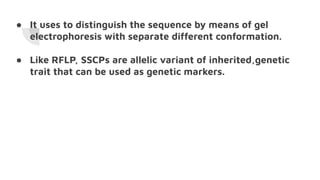 Single Strand Conformation Polymorphism Analysis (1).pdf