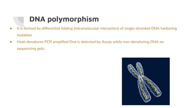 Single Strand Conformation Polymorphism Analysis (1).pdf