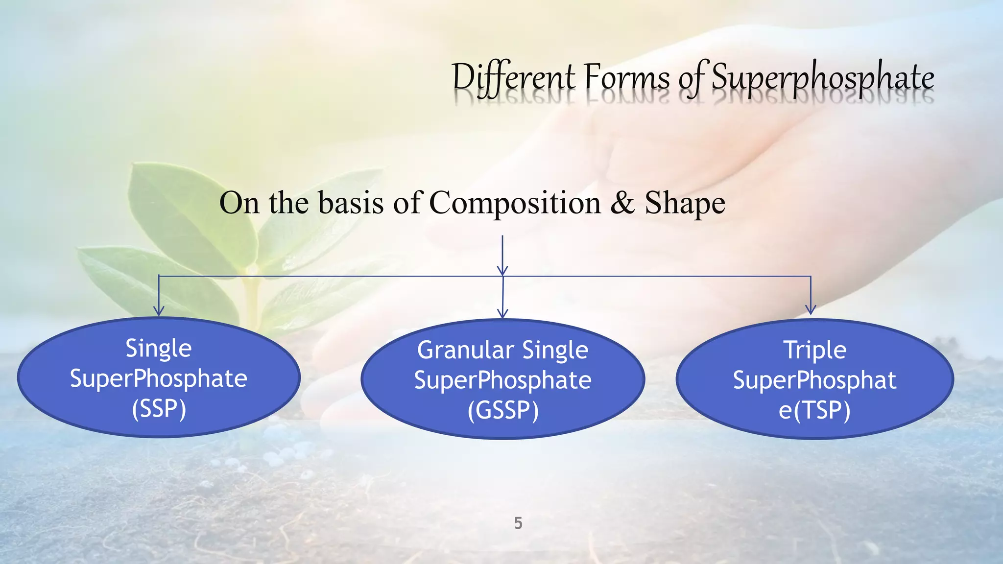 Single super phosphate | PPTX