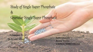 Single super phosphate | PPTX